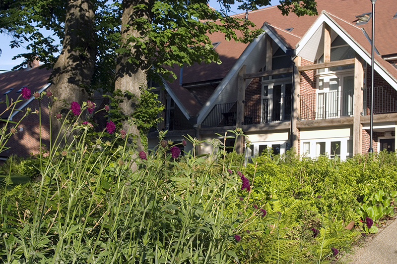 Boxgrove Gardens
